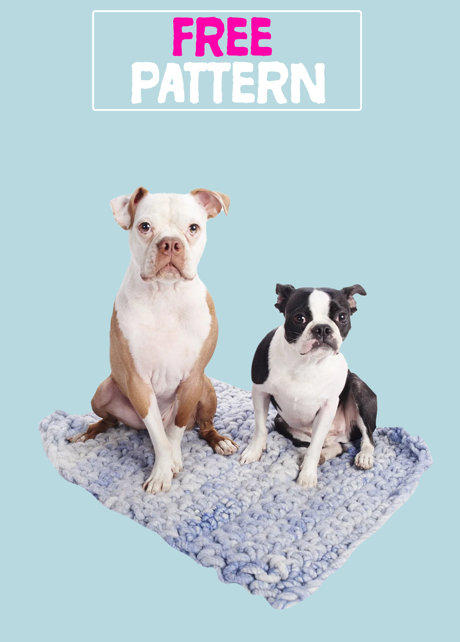 FREE Best Friend's Rug - PATTERN - Big Loop – Loopy Mango